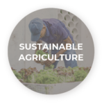 Funding Interests - Gaia Fund